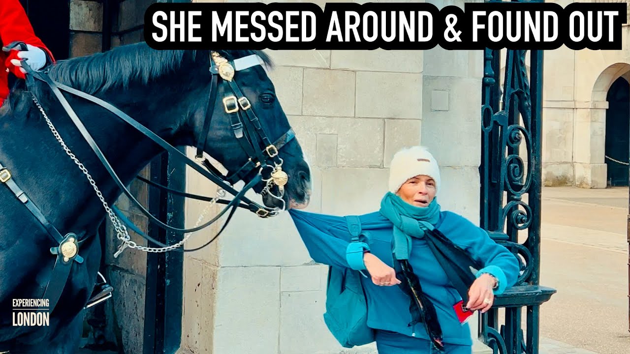 Shocking Moment Royal Guard Horse DRAGS WOMAN OFF FEET!