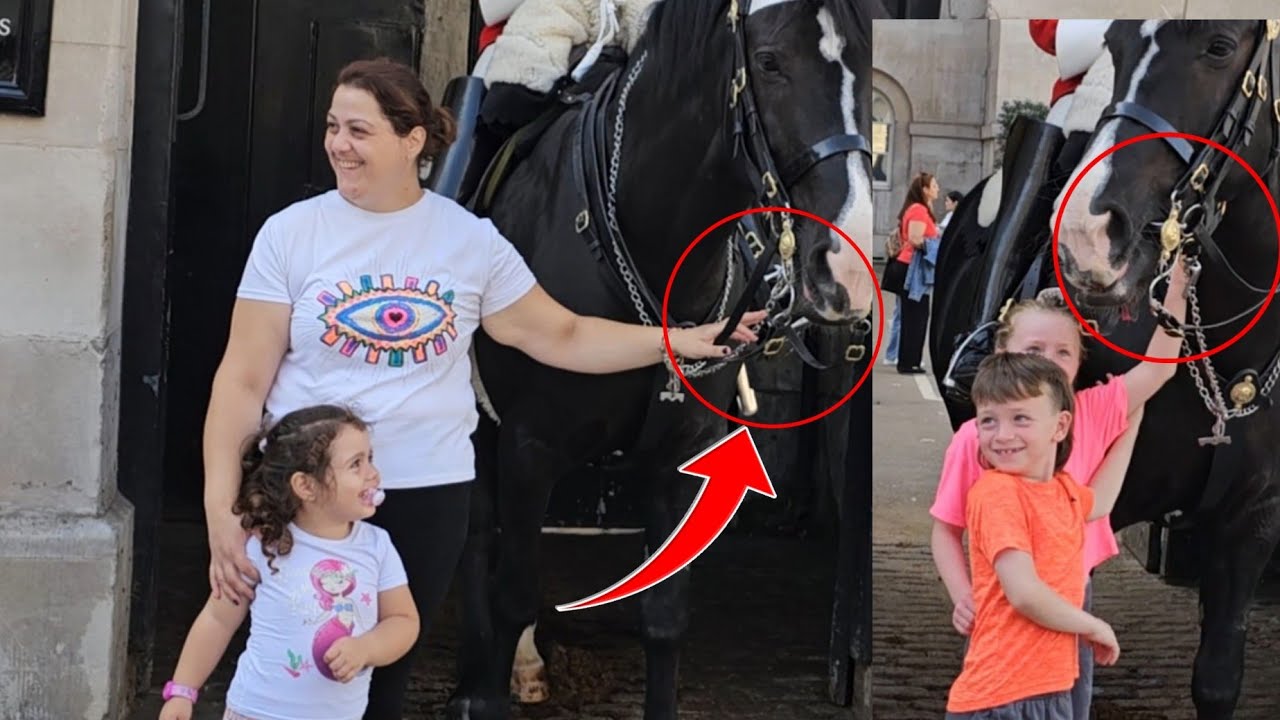 OMG! Let Go Off The REINS!