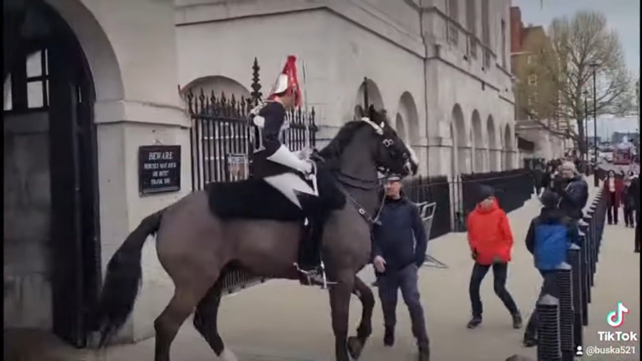 Sharp Shout From the King’s Guard Stops the Crowd