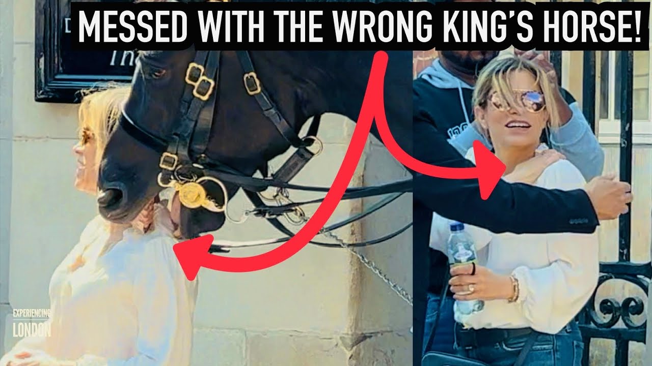 Royal Steed Reacts With a Sharp Bite to Protect His Space