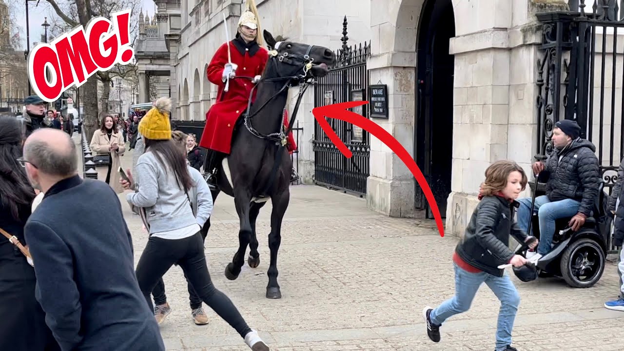 The moment his shout from the King’s Guard changed everything