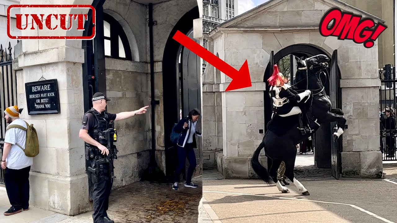 Royal Guard and Horse Collapse in Shocking Incident