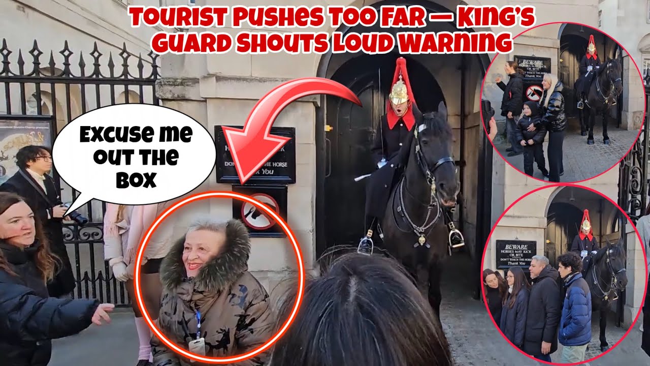 The Powerful Shout That Made Everyone Respect the King’s Guard...!!!