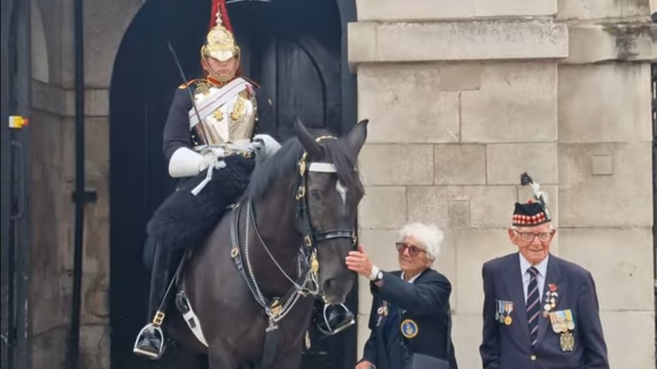 A Beautiful moment kings guard moves his horse so a veteran couple can ...